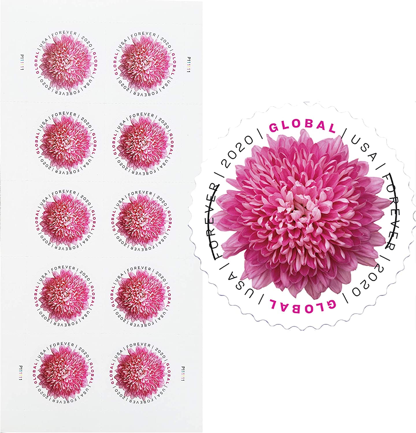 Global Forever Stamps 2020 Chrysanthemum – Floral Collection ...